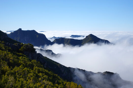รูปภาพShing – เลือกดูภาพถ่ายสต็อก เวกเตอร์ และวิดีโอ1,468 | Adobe Stock
