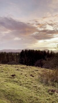 Wainwright Images – Browse 3,741 Stock Photos, Vectors, and Video ...