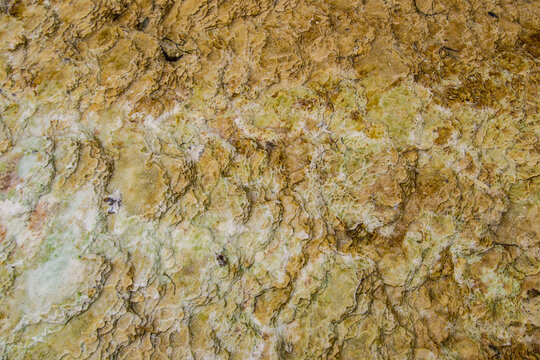 รูปภาพCalcarea – เลือกดูภาพถ่ายสต็อก เวกเตอร์ และวิดีโอ636 | Adobe Stock