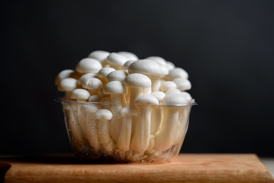 Bunapi Images – Browse 781 Stock Photos, Vectors, and Video | Adobe Stock