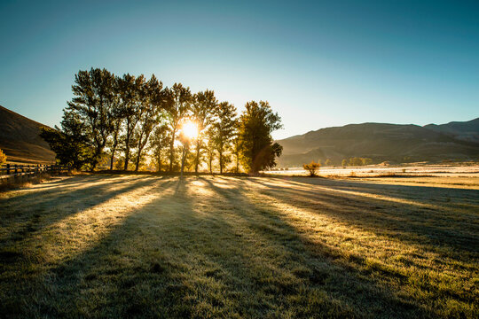รูปภาพ"Free – เลือกดูภาพถ่ายสต็อก เวกเตอร์ และวิดีโอ3,974,317 | Adobe Stock