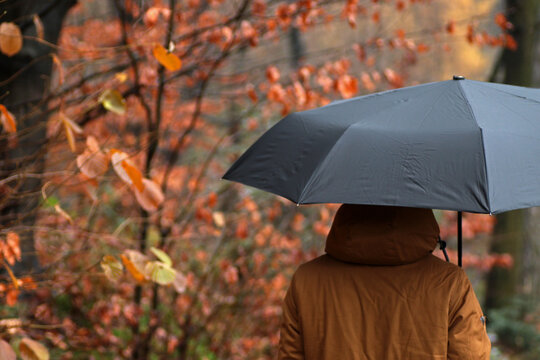 "Walking In The Rain" Images – Browse 369 Stock Photos, Vectors, and ...