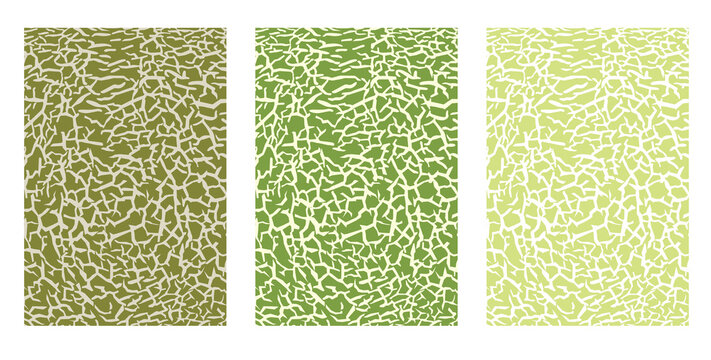 "Melon Texture" Images – Browse 222 Stock Photos, Vectors, and Video ...