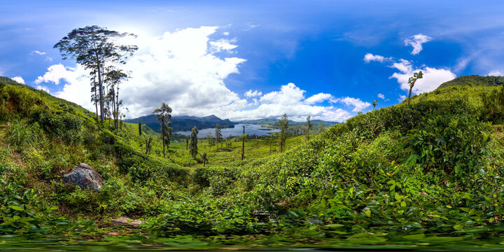 Maskeliya Bilder – Durchsuchen 473 Archivfotos, Vektorgrafiken und Videos | Adobe Stock
