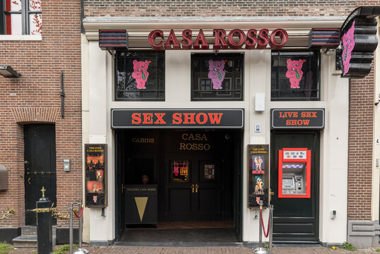 รูปภาพHarlotry – เลือกดูภาพถ่ายสต็อก เวกเตอร์ และวิดีโอ24,495 | Adobe Stock