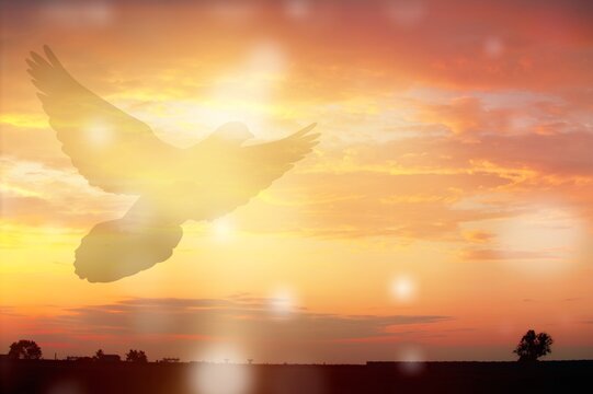 Funeral Service Background Images – Browse 85,147 Stock Photos, Vectors ...