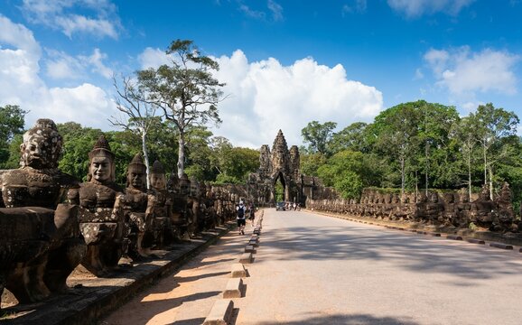 「Kindom」の写真素材 | 800件の無料イラスト画像 | Adobe Stock