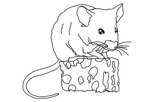 "Mouse Over" Images – Browse 453 Stock Photos, Vectors, and Video ...