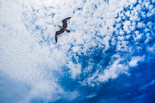 Stefano Meroni photos, images, assets | Adobe Stock