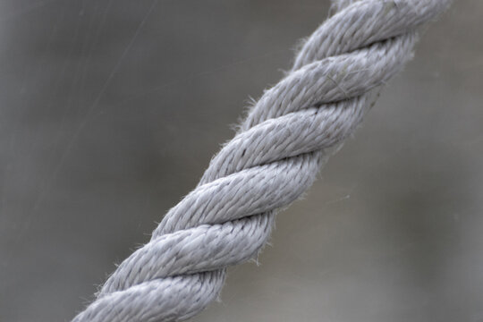 รูปภาพPleach – เลือกดูภาพถ่ายสต็อก เวกเตอร์ และวิดีโอ11,040 | Adobe Stock