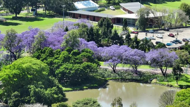 "University Of Queensland" Images – Browse 89 Stock Photos, Vectors ...