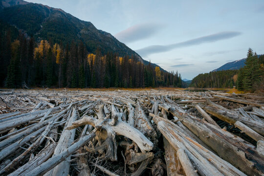 Reingefallen Bilder – Durchsuchen 1,718 Archivfotos, Vektorgrafiken und ...