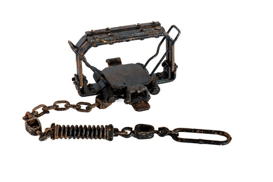 "Foothold Trap" Images – Browse 368,198 Stock Photos, Vectors, and ...