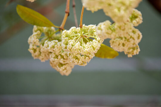 รูปภาพRumdul – เลือกดูภาพถ่ายสต็อก เวกเตอร์ และวิดีโอ388 | Adobe Stock