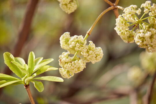 รูปภาพRumdul – เลือกดูภาพถ่ายสต็อก เวกเตอร์ และวิดีโอ499 | Adobe Stock