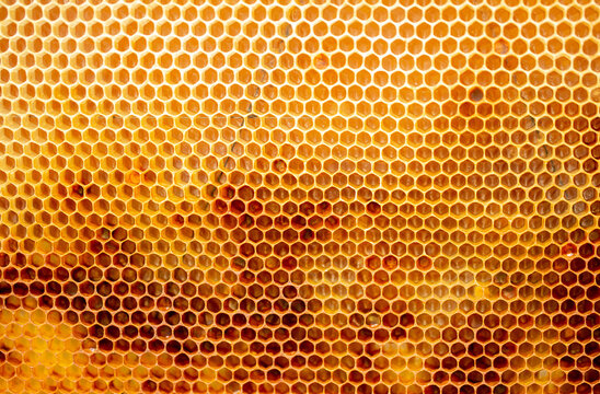 Afbeeldingen over "Honeycomb Background" – Blader in stockfoto's ...