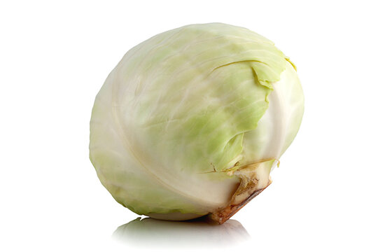 "Cabbage Stalk" Images – Browse 138 Stock Photos, Vectors, and Video ...