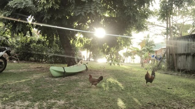 Wield Images – Browse 728 Stock Photos, Vectors, and Video | Adobe Stock