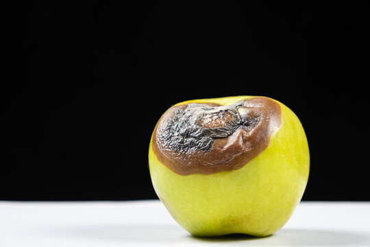 Rotten Green Apple Images – Browse 12,195 Stock Photos, Vectors, and ...