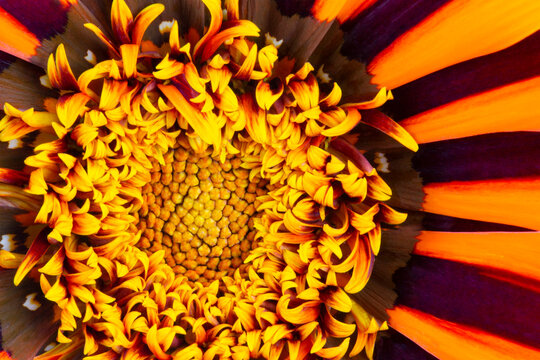 Center Of Interest Photography