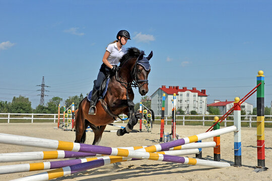 Springreiter Bilder – Durchsuchen 18,576 Archivfotos, Vektorgrafiken ...