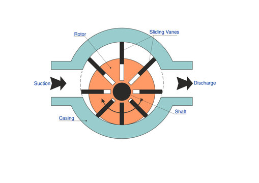 Rotary Pump Diagram