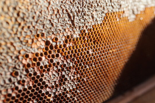 Ollen Images – Browse 15 Stock Photos, Vectors, and Video | Adobe Stock