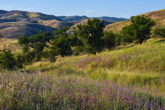 Calabasas Images – Browse 11,396 Stock Photos, Vectors, and Video ...