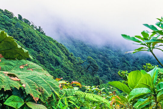 รูปภาพ"Middle America" – เลือกดูภาพถ่ายสต็อก เวกเตอร์ และวิดีโอ9,622 | Adobe Stock