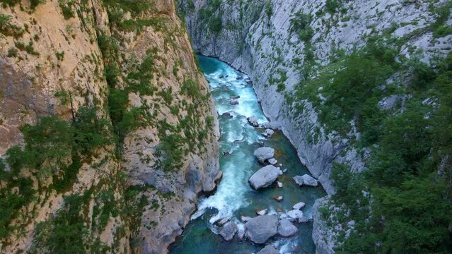 Moracha Images – Browse 235 Stock Photos, Vectors, and Video | Adobe Stock