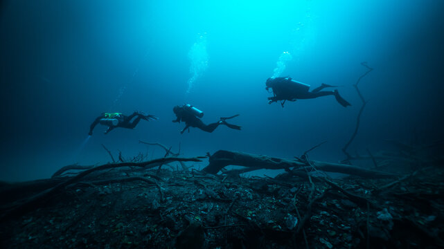 Halocline bilder – Bläddra bland 23 stockfoton, vektorer och videor ...
