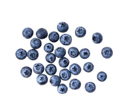 Heidelbeeren Bilder – Durchsuchen 150,475 Archivfotos, Vektorgrafiken ...