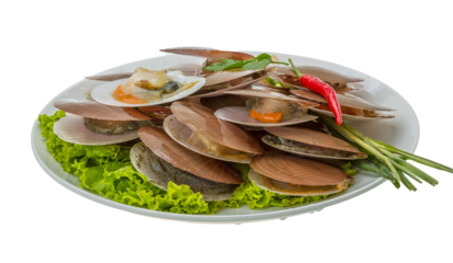 Maximus PNGs – Transparent Background Images | PikWizard