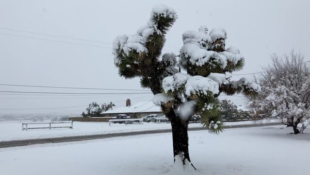 Obrázky Hesperia – procházejte fotografie, vektory a videa 493 | Adobe ...