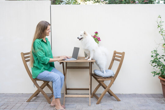Dog Typing On Computer Images – Browse 5,451 Stock Photos, Vectors, and ...