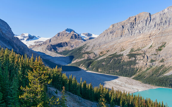 รูปภาพShrank – เลือกดูภาพถ่ายสต็อก เวกเตอร์ และวิดีโอ23,354 | Adobe Stock