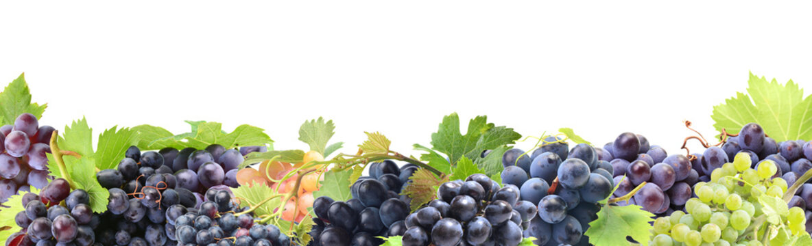 Grape Frame Images – Browse 50,103 Stock Photos, Vectors, and Video ...