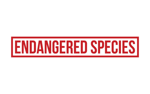 "Endangered Species" Images – Browse 571,690 Stock Photos, Vectors, and ...