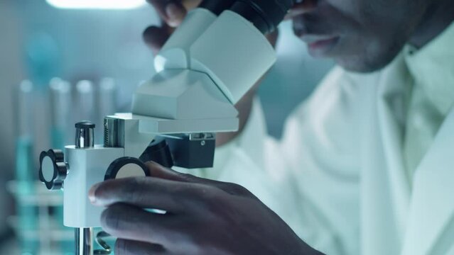 "Compound Microscope" Images – Parcourir 186 le catalogue de photos ...