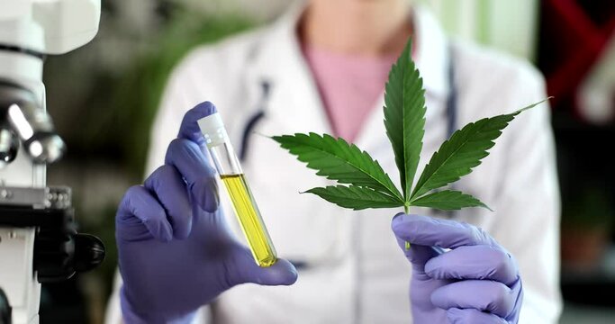 「Marijuana Extract」の写真素材 | 51,495件の無料イラスト画像 | Adobe Stock