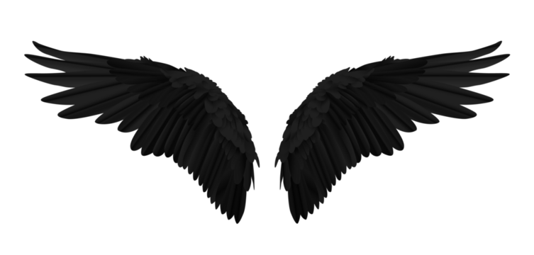 Wings Black Background Png