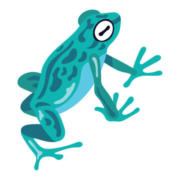 รูปภาพFroglet – เลือกดูภาพถ่ายสต็อก เวกเตอร์ และวิดีโอ479,658 | Adobe Stock
