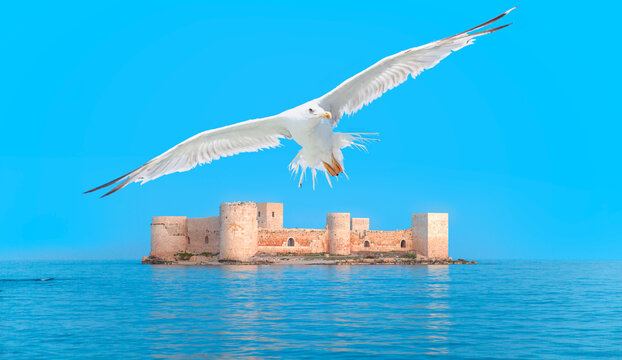 Corycus Bilder – Durchsuchen 1,216 Archivfotos, Vektorgrafiken und ...