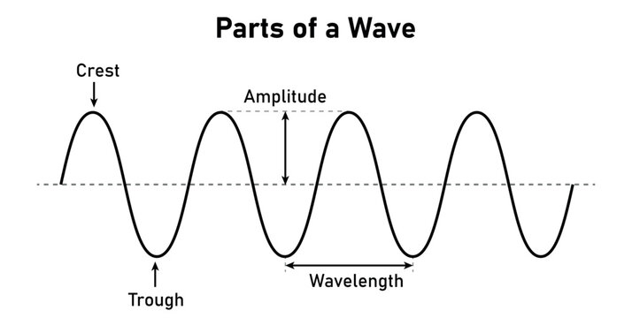 Transverse Wave
