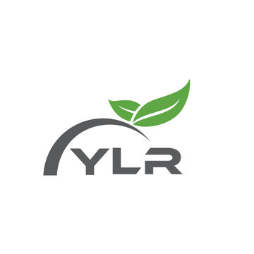 รูปภาพYlr – เลือกดูภาพถ่ายสต็อก เวกเตอร์ และวิดีโอ41 | Adobe Stock