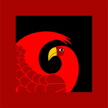 Featherless Bilder – Durchsuchen 911 Archivfotos, Vektorgrafiken und ...