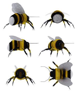 "Bee Cartoon" Bilder – Durchsuchen 649 Archivfotos, Vektorgrafiken und ...