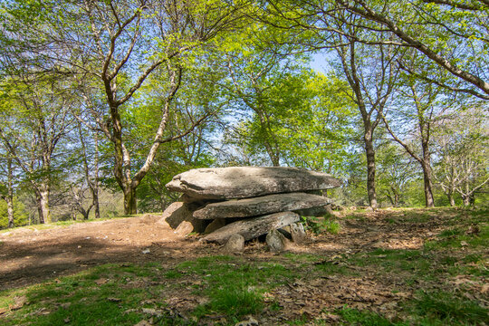 รูปภาพMegalito – เลือกดูภาพถ่ายสต็อก เวกเตอร์ และวิดีโอ441 | Adobe Stock