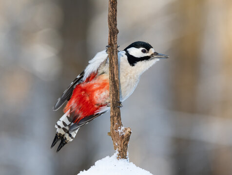 alex_bor photos, images, assets | Adobe Stock