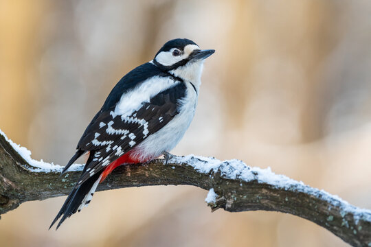 alex_bor photos, images, assets | Adobe Stock